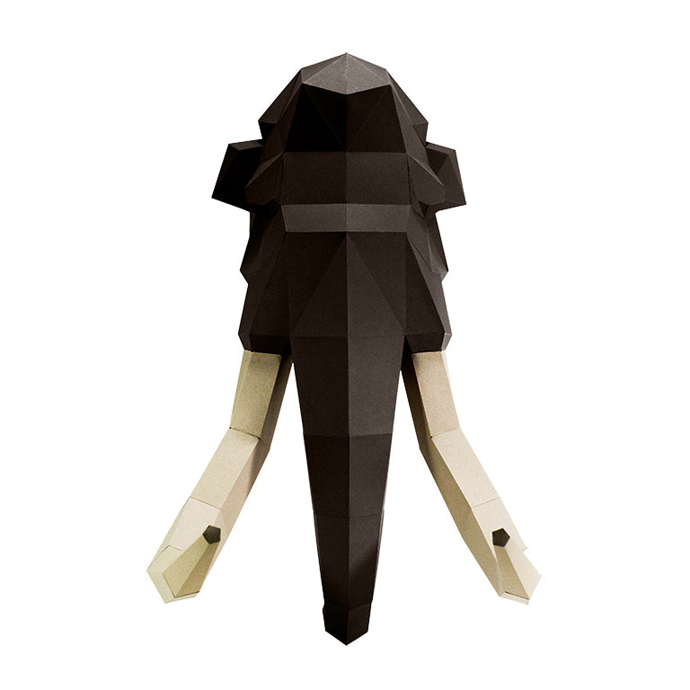 Tap image to enlarge