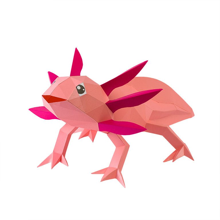Axolotl Papercraft - 3D Paper Model That Anyone Can Build! Shop Now ...