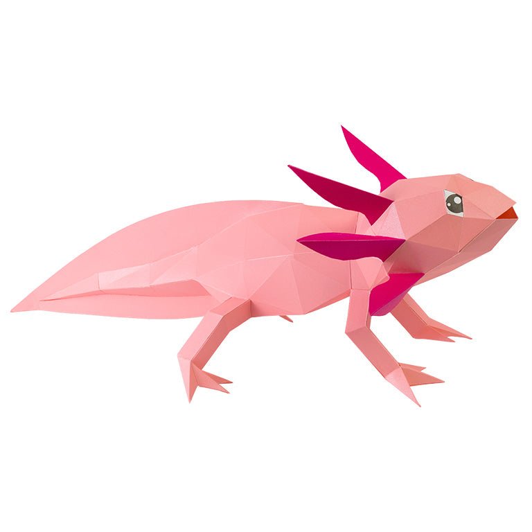 Axolotl Papercraft - 3D Paper Model That Anyone Can Build! Shop Now ...
