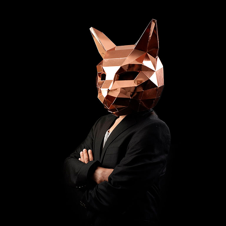 Cat Mask | Papercraft Cat Art - PAPERCRAFT WORLD